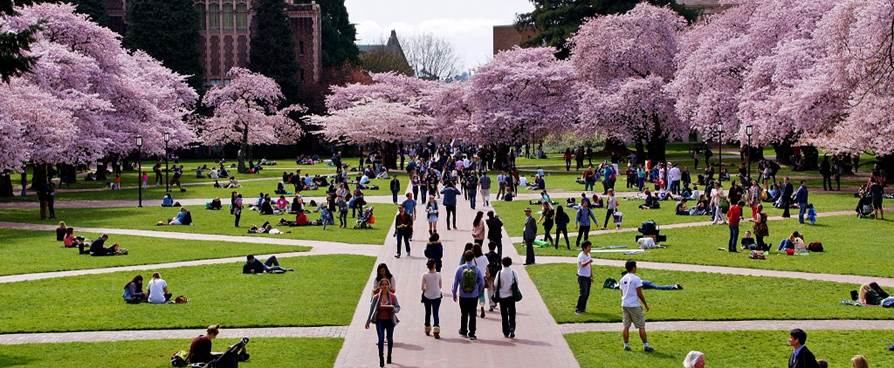 College Portfolio & Resources - TASFA